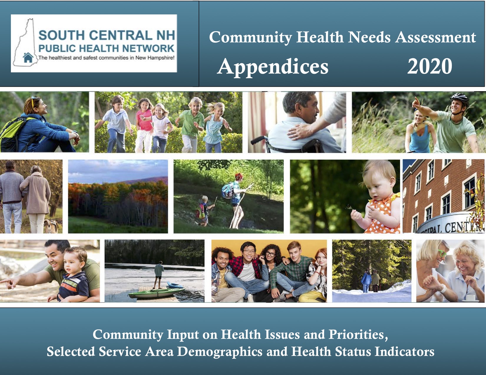 South Central NH Public Health Network